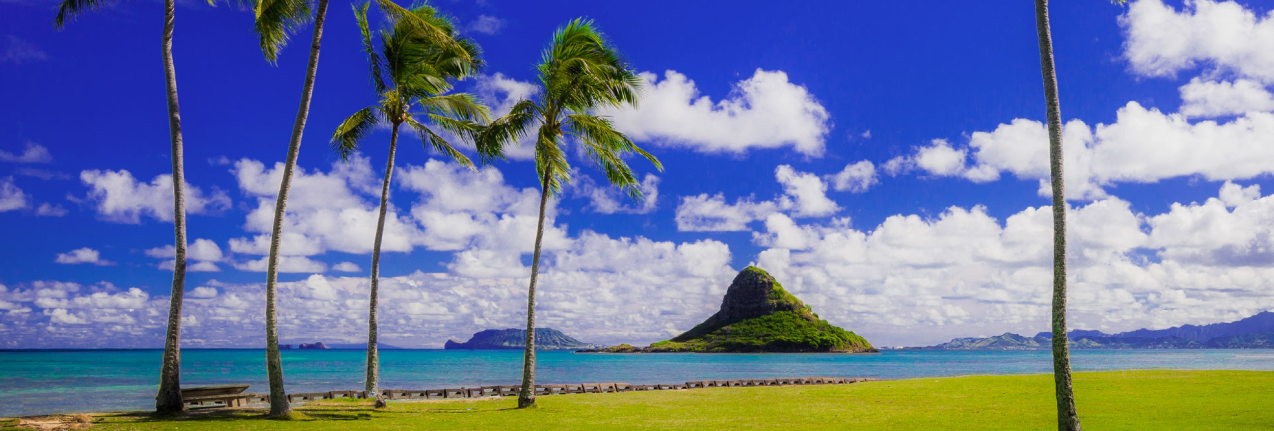 Top 5 Things To Do in East Oahu: Beaches, Sights & More | Oahu Hawaii