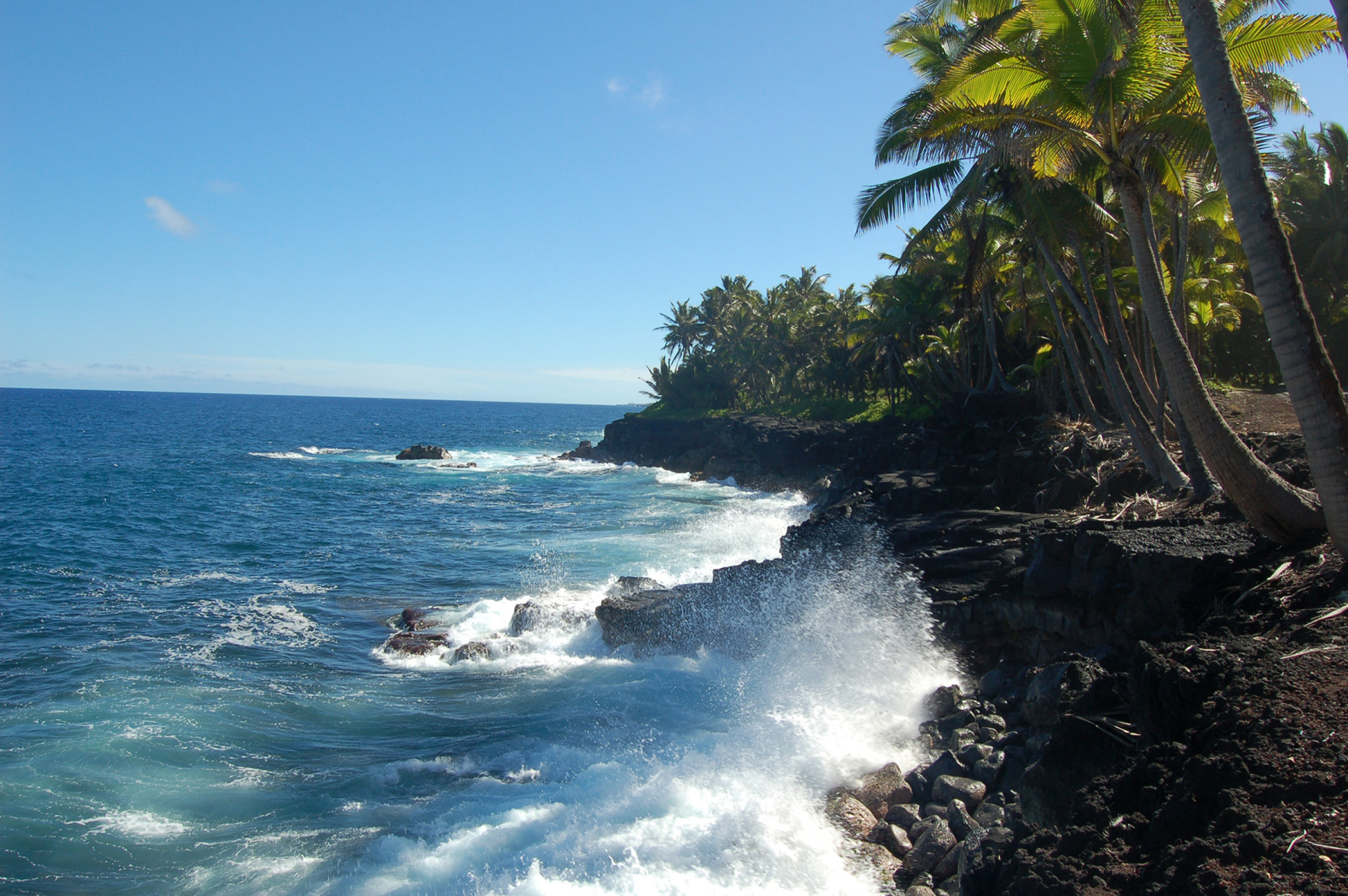 Best Things To See & Do in the Puna Region | Big Island Hawaii