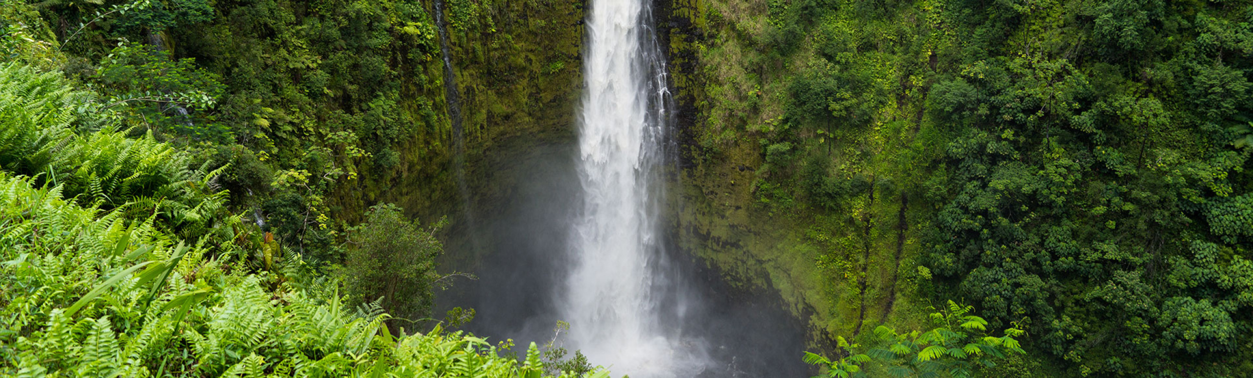 Top Things To See & Do in the North Hamakua Region | Big Island Hawaii