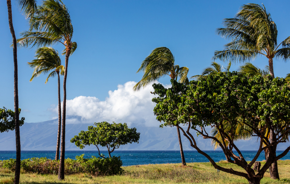 The Ultimate Guide to Molokai