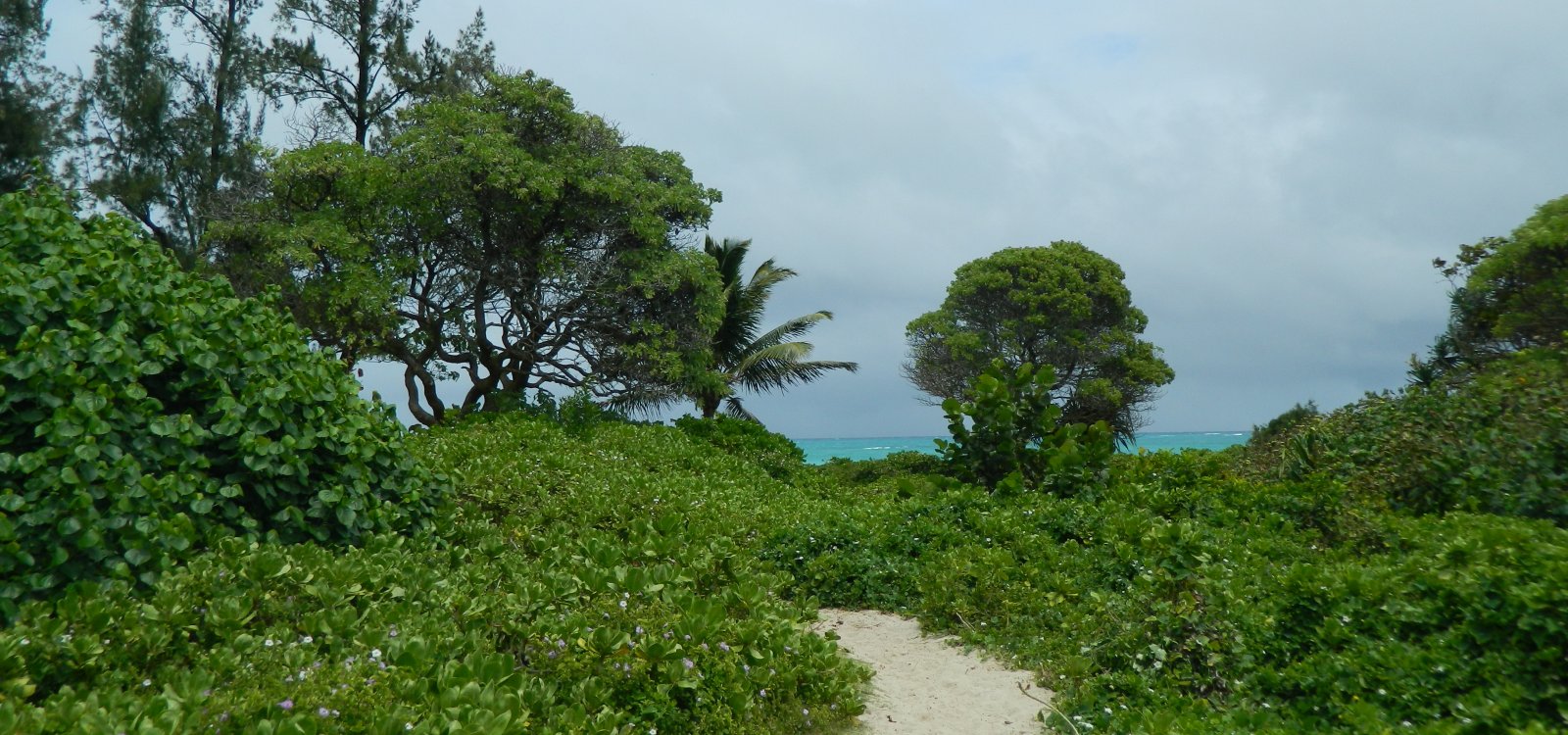 Kalama Beach | Oahu Hawaii