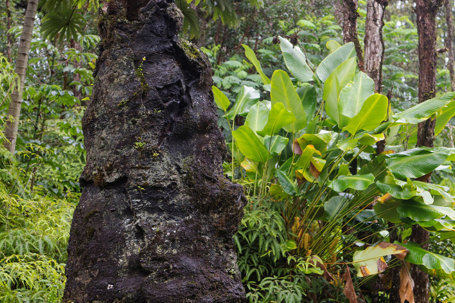 Top Things to Do in Puna on the Big Island