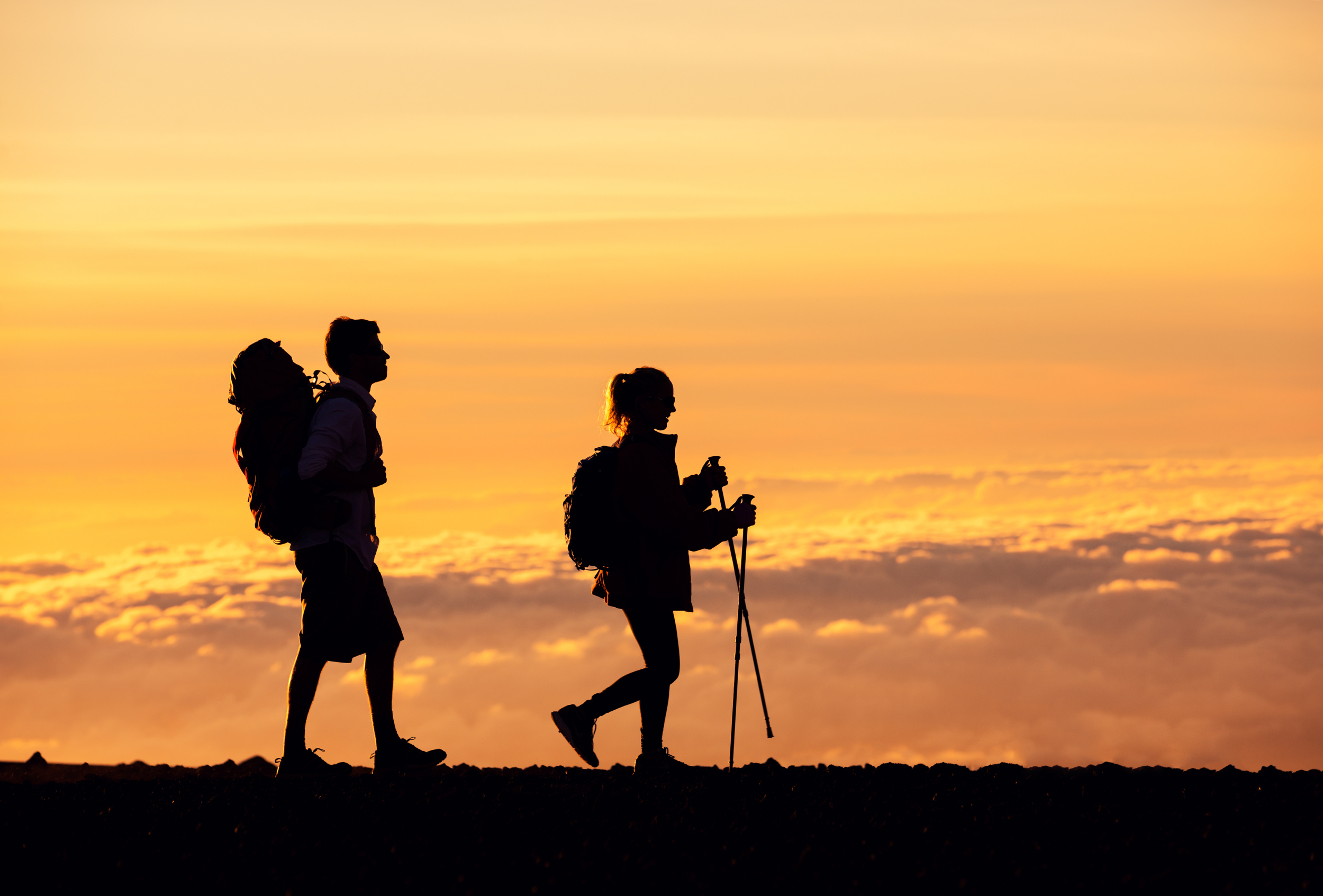 Hiking Tours To Do & Experience | Activities on Oahu Hawaii