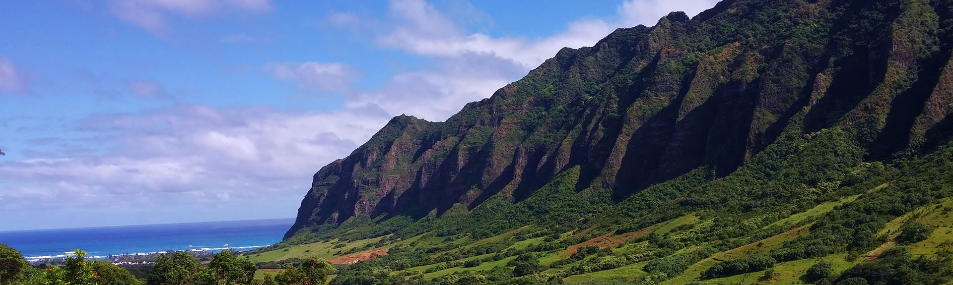 Oahu Must See and Do