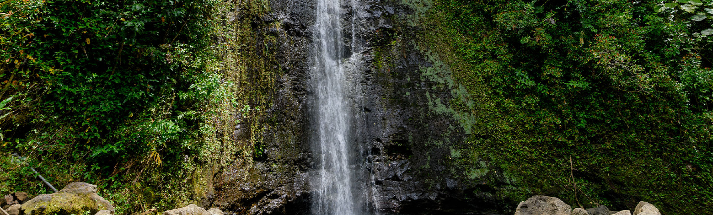 Top Waterfalls To Visit & Experience | Oahu Hawaii