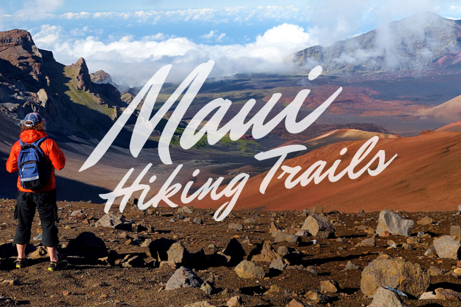 Maui Travel Guide: Top Things to Do on Vacation
